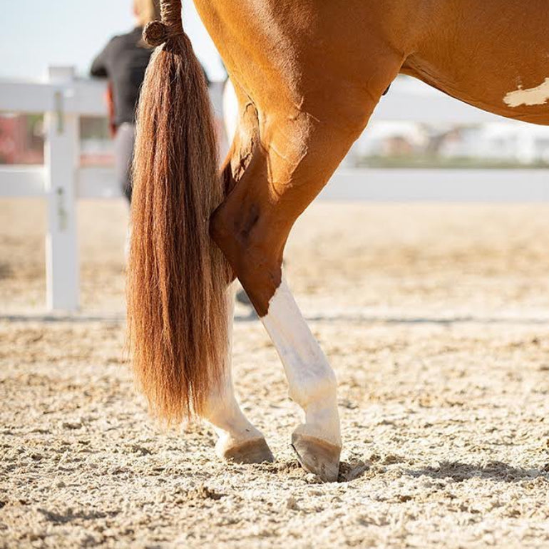 Tail Extensions – EH Equestrian